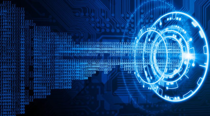 Blockchain Security: Unveiling Public and Private Key Roles